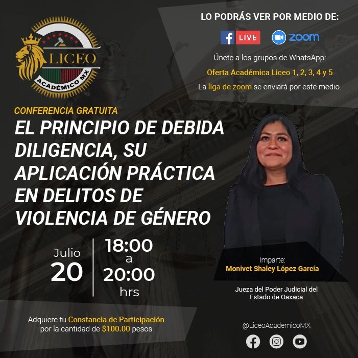 EL PRINCIPIO DE DEBIDA DILIGENCIA, SU APLICACIÓN PRÁCTICA EN...